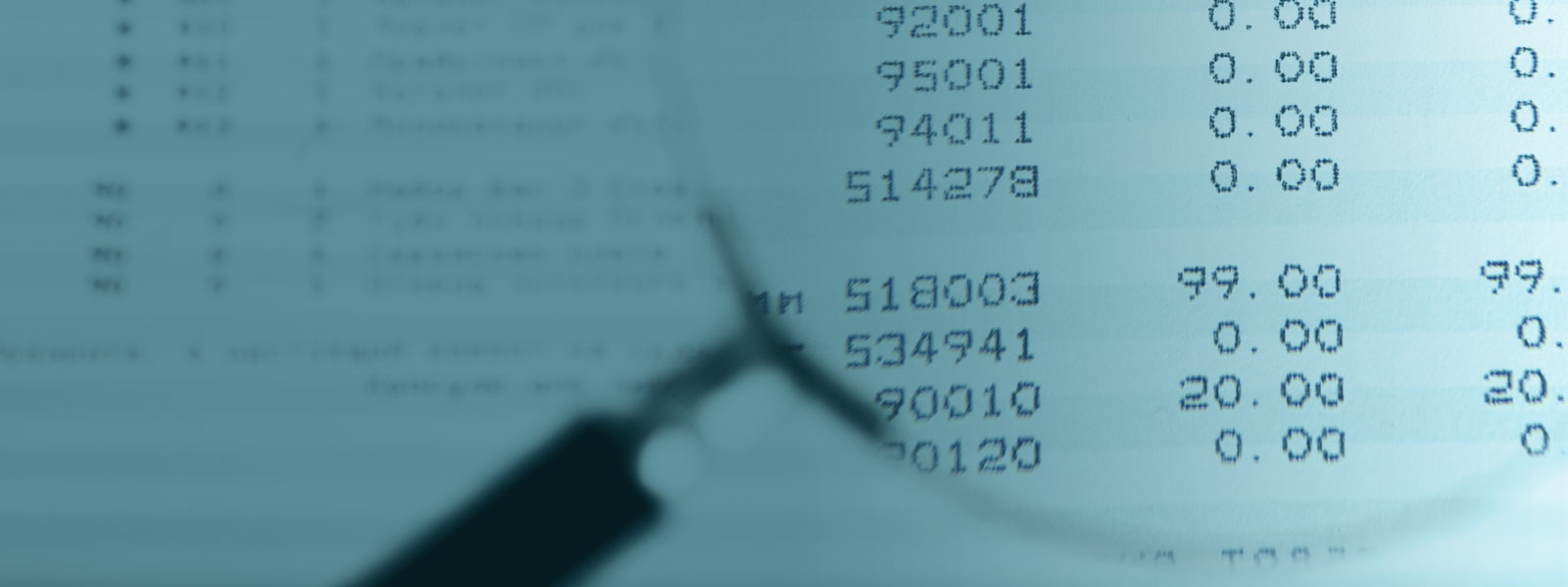 Compliance Officers - eCustoms Visual Compliance